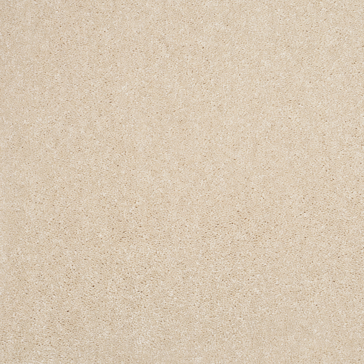 Balta Eclipse Carpet | Ultra-Soft & Durable Polyester | £23.99/m² ...